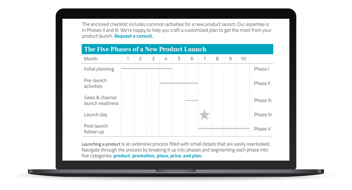 Product Launch Checklist - Download